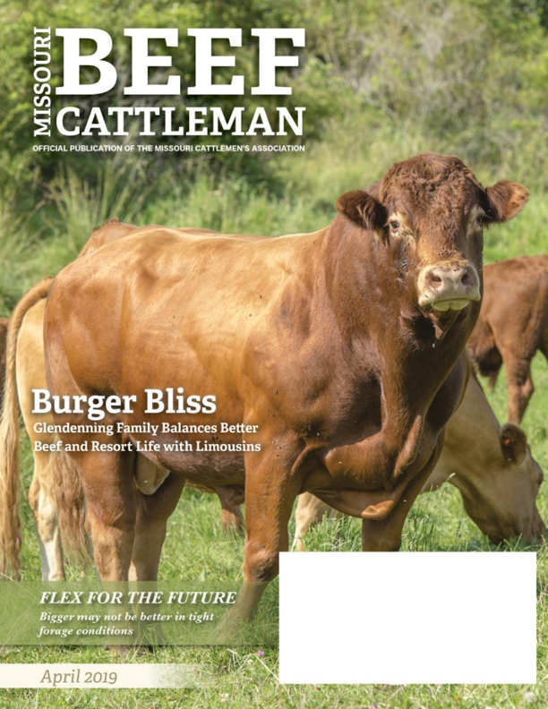 Missouri Beef Cattleman