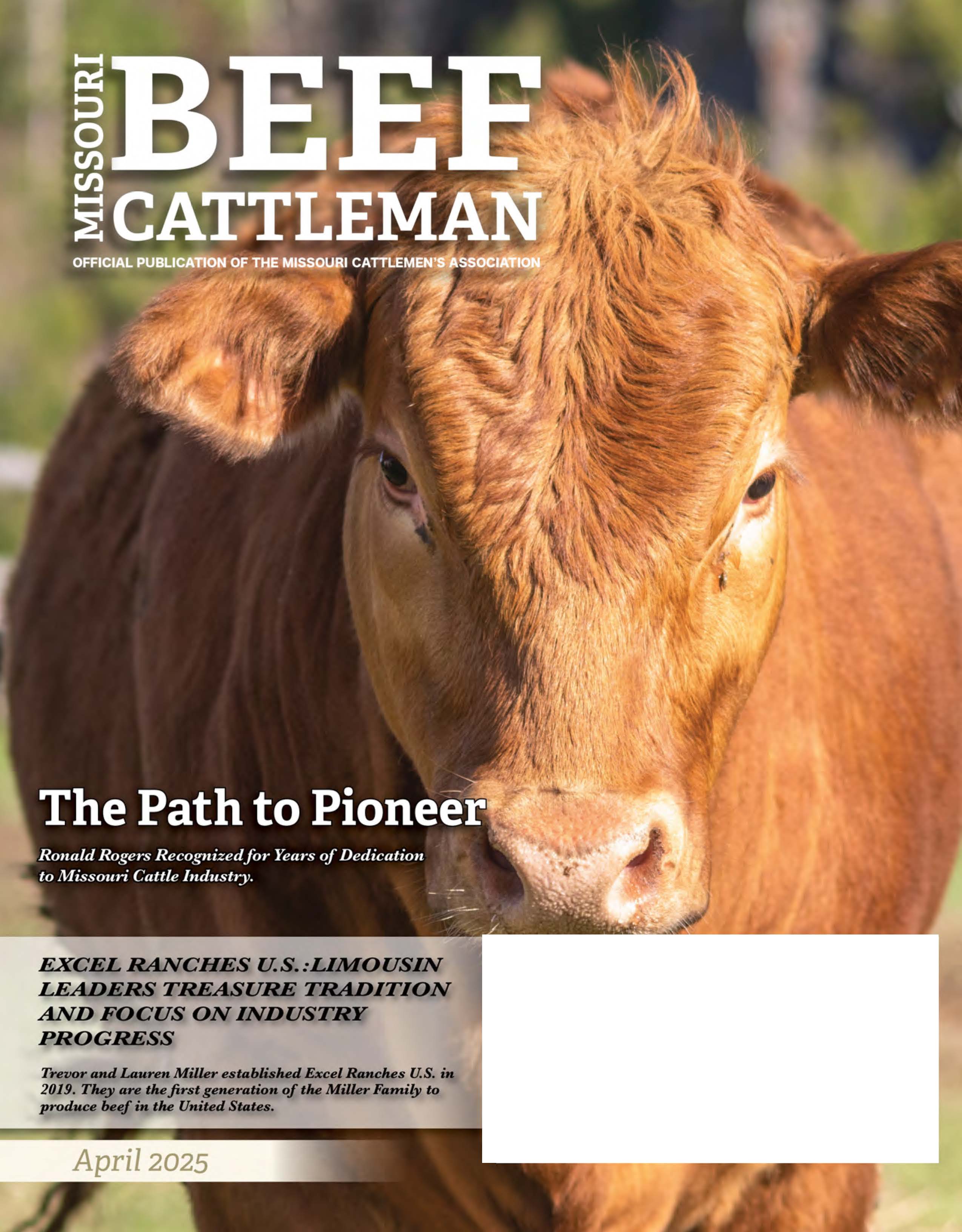 Missouri Beef Cattleman