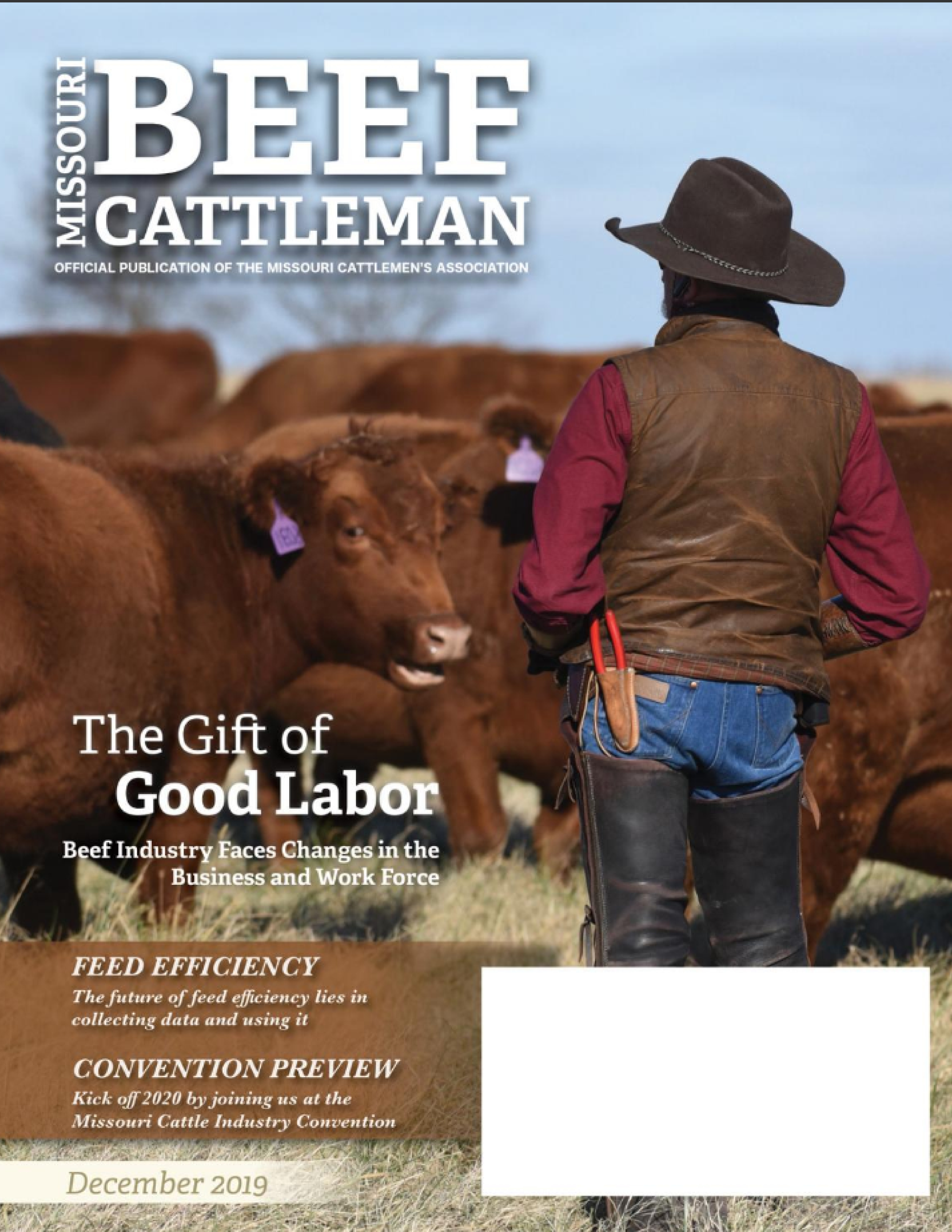 Missouri Beef Cattleman