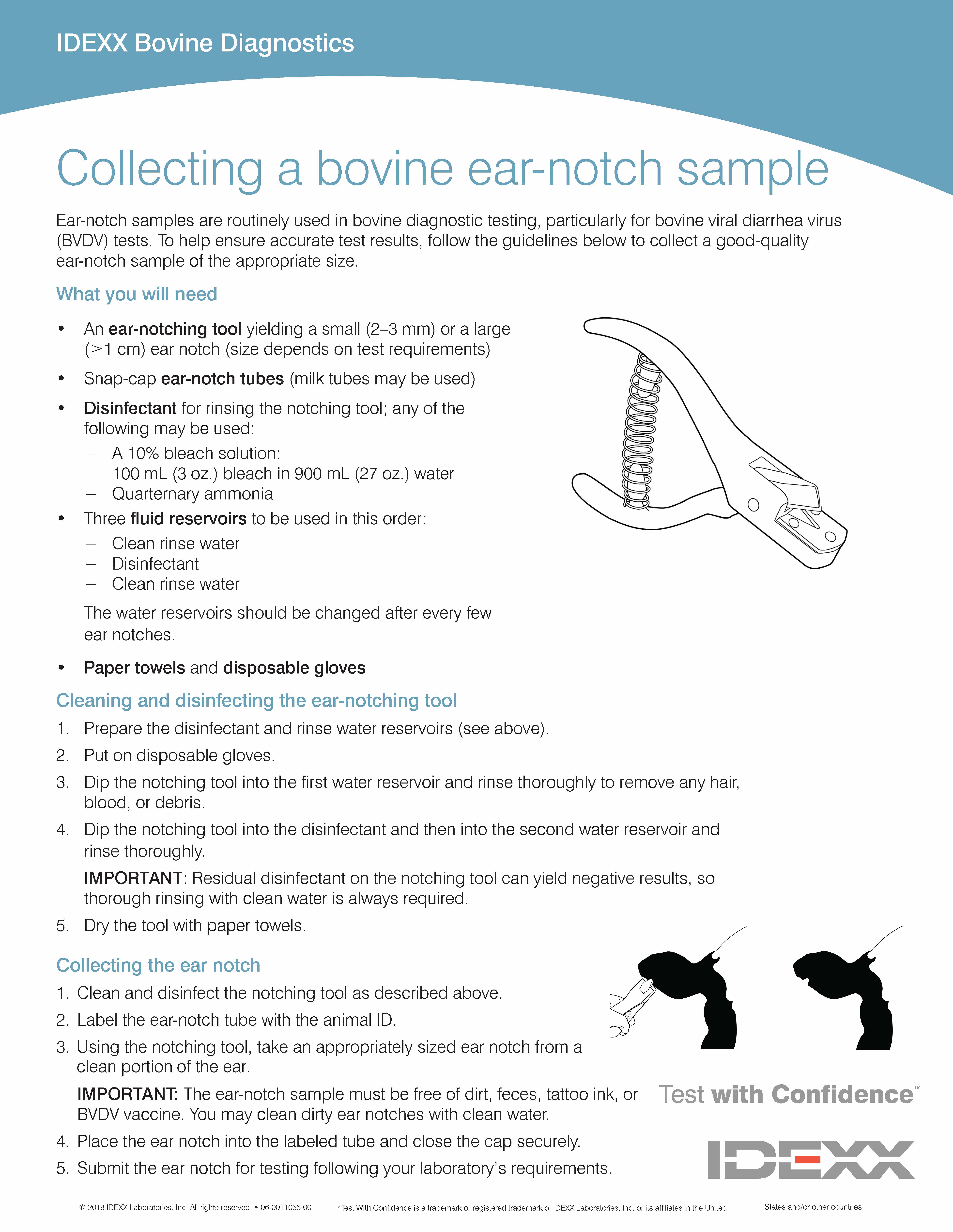 Profitability Challenge "Top 100" Steer Feedout
