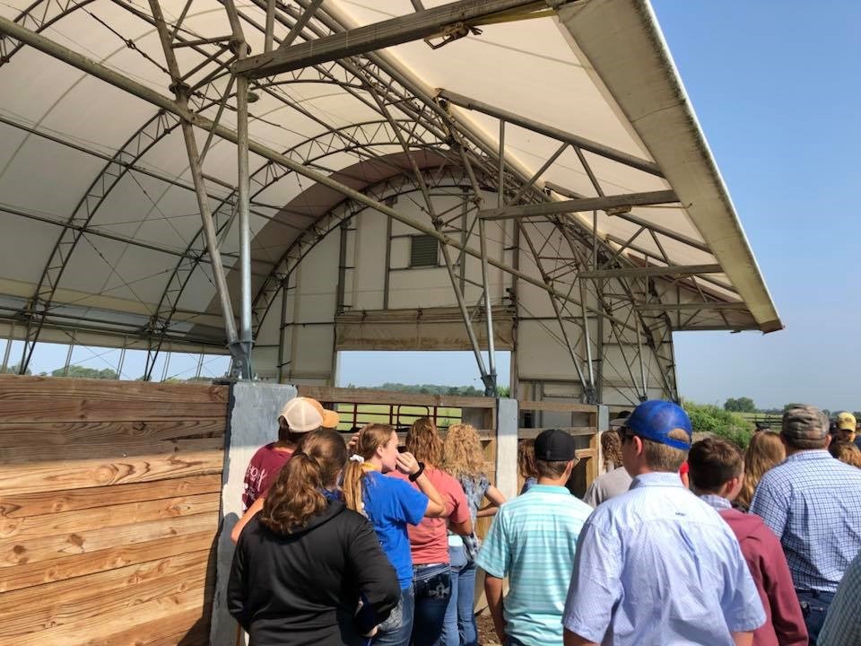 Missouri Beef - Producer Direct