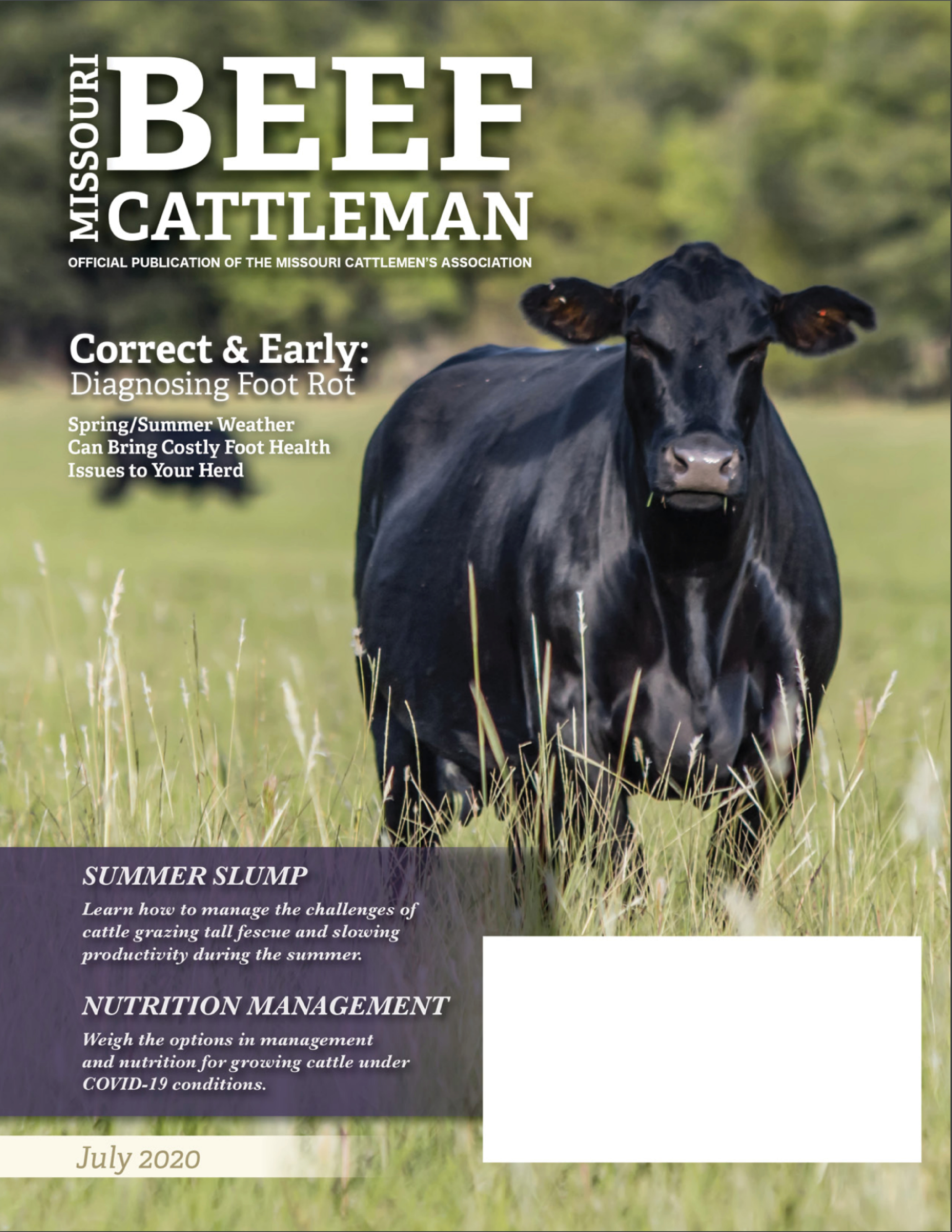 Missouri Beef Cattleman
