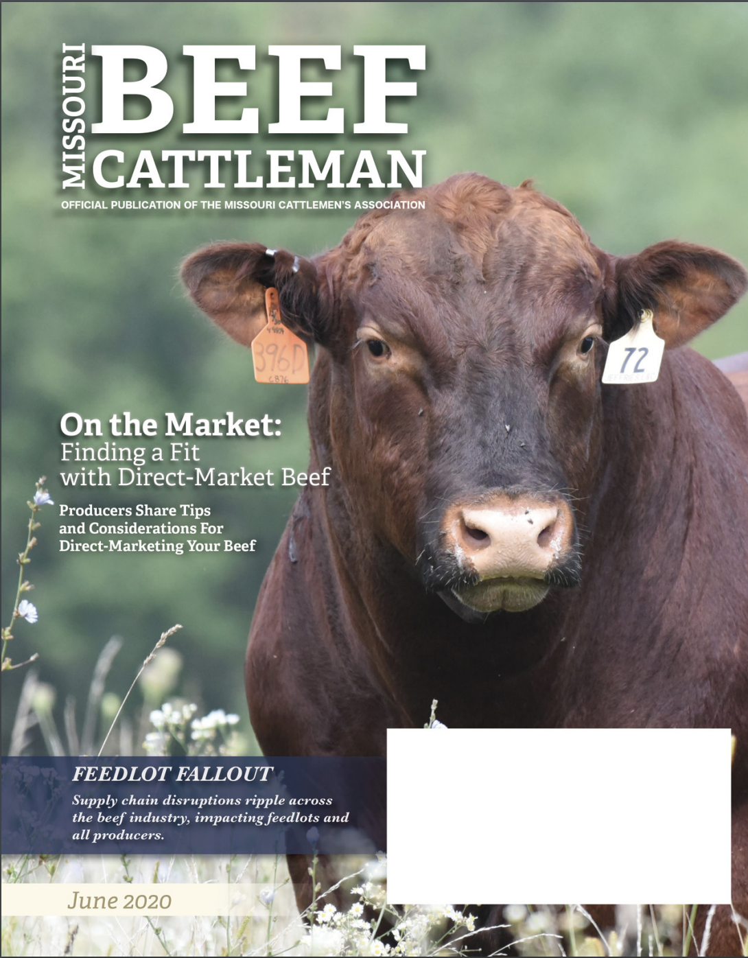 Missouri Beef Cattleman