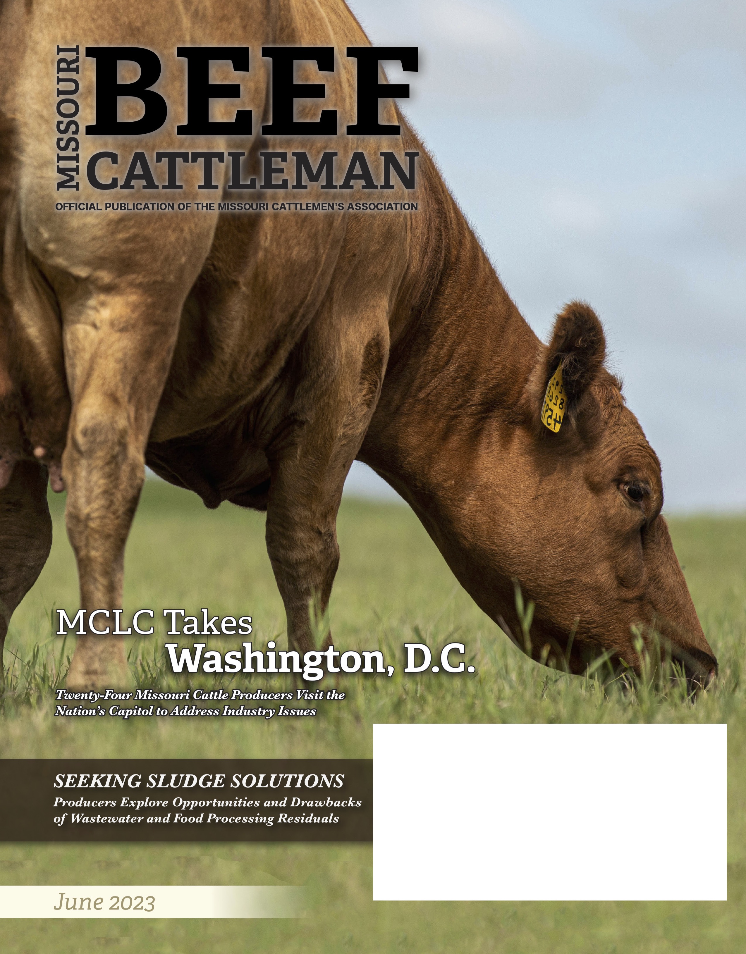 Missouri Beef Cattleman