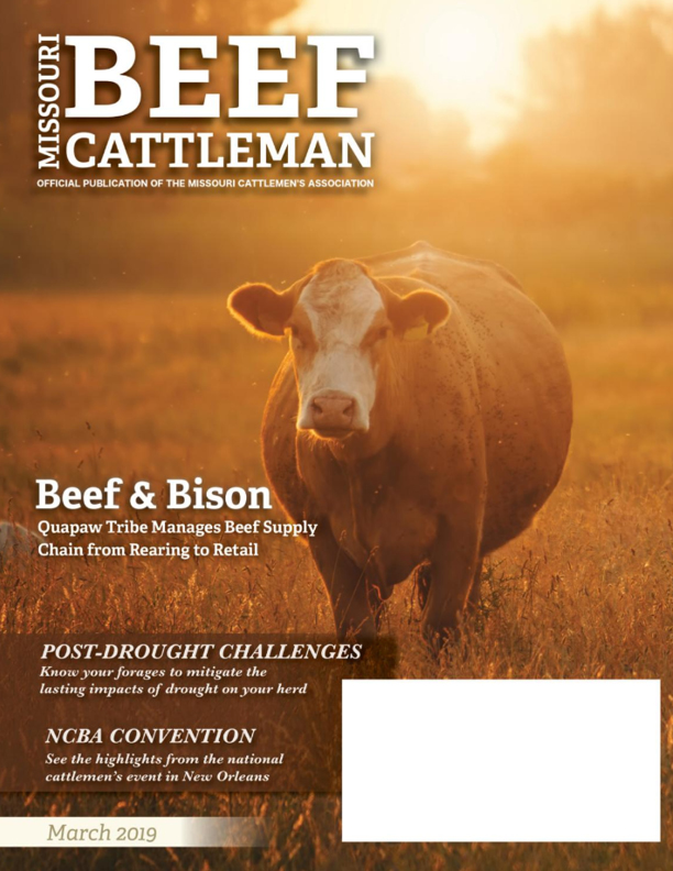 Missouri Beef Cattleman