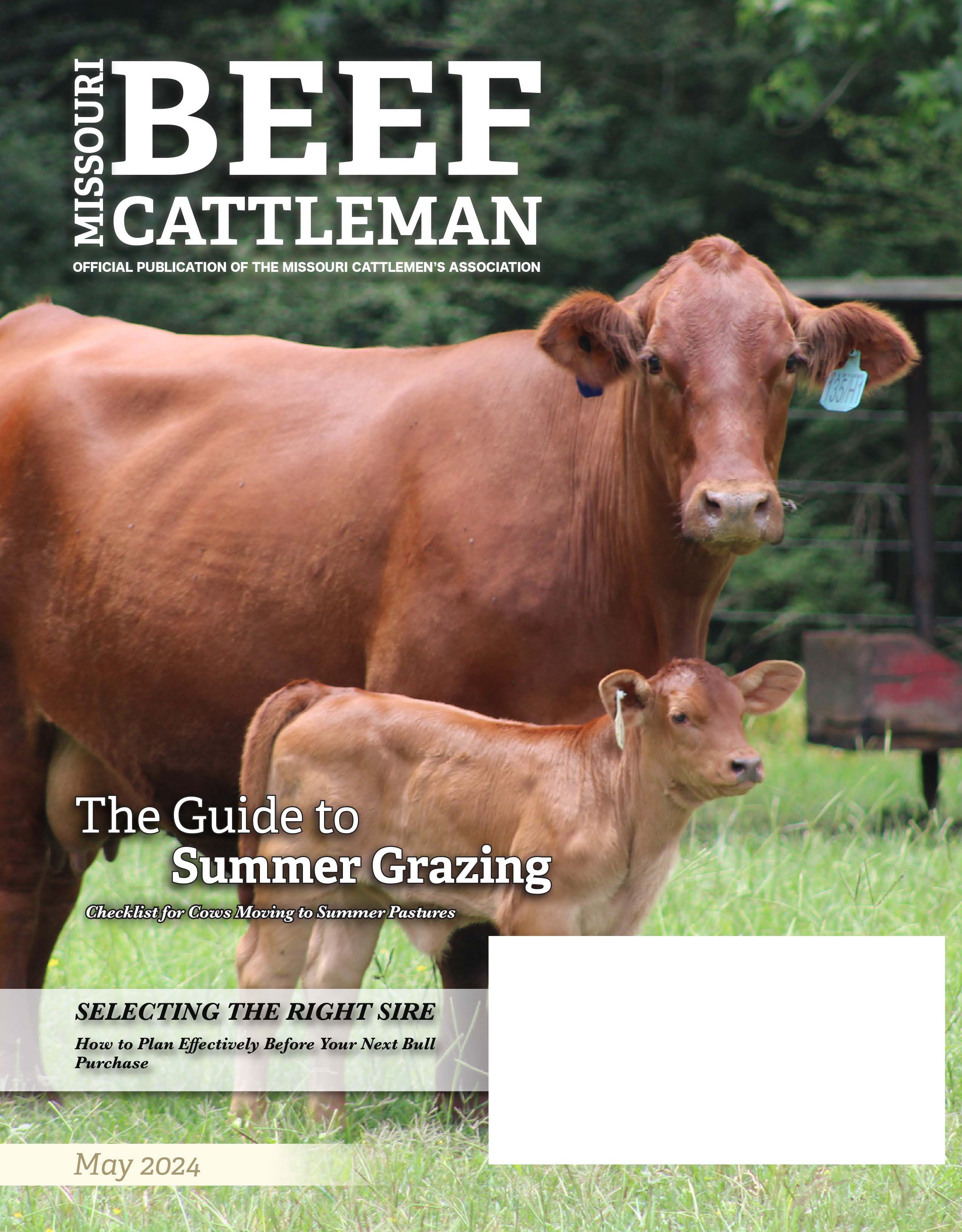 Missouri Beef Cattleman