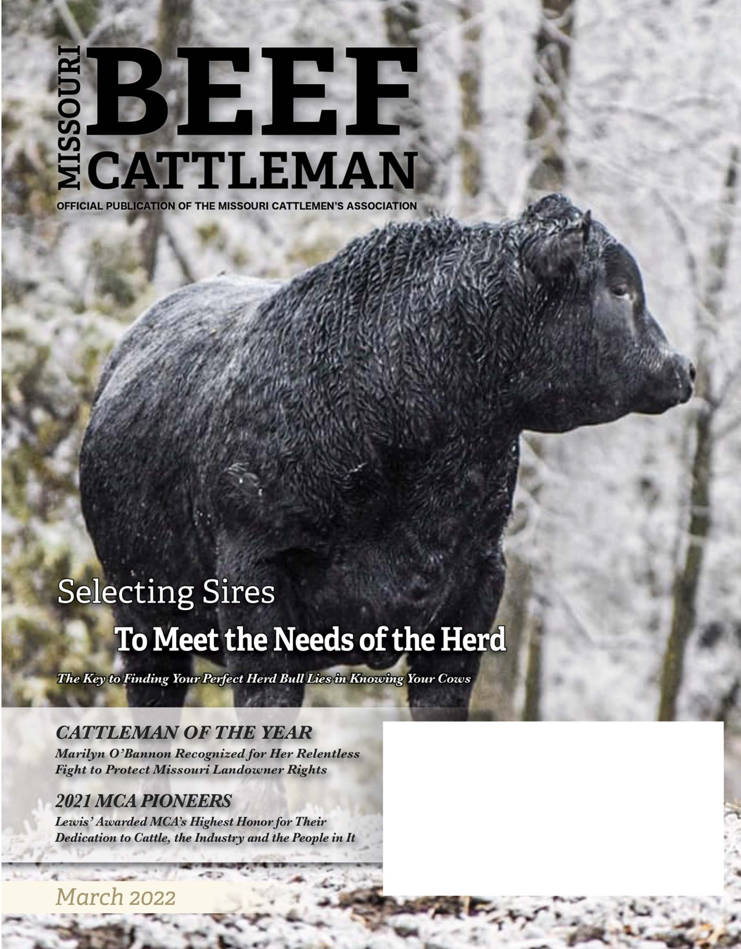Missouri Beef Cattleman