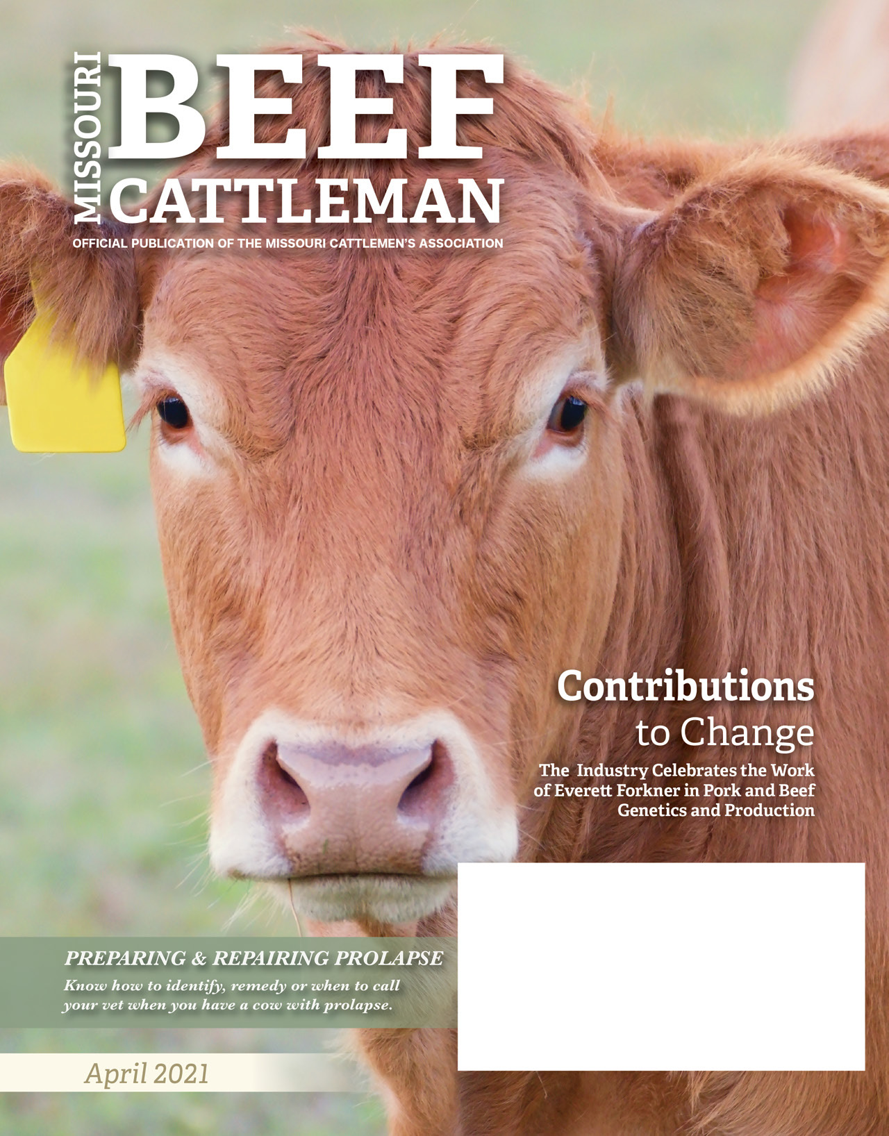 Missouri Beef Cattleman