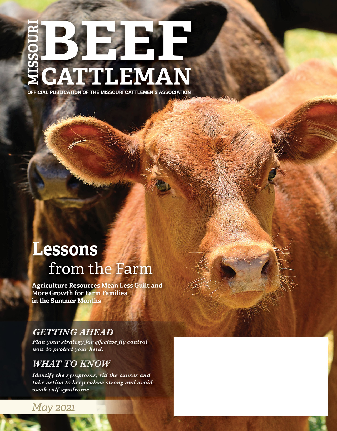 Missouri Beef Cattleman