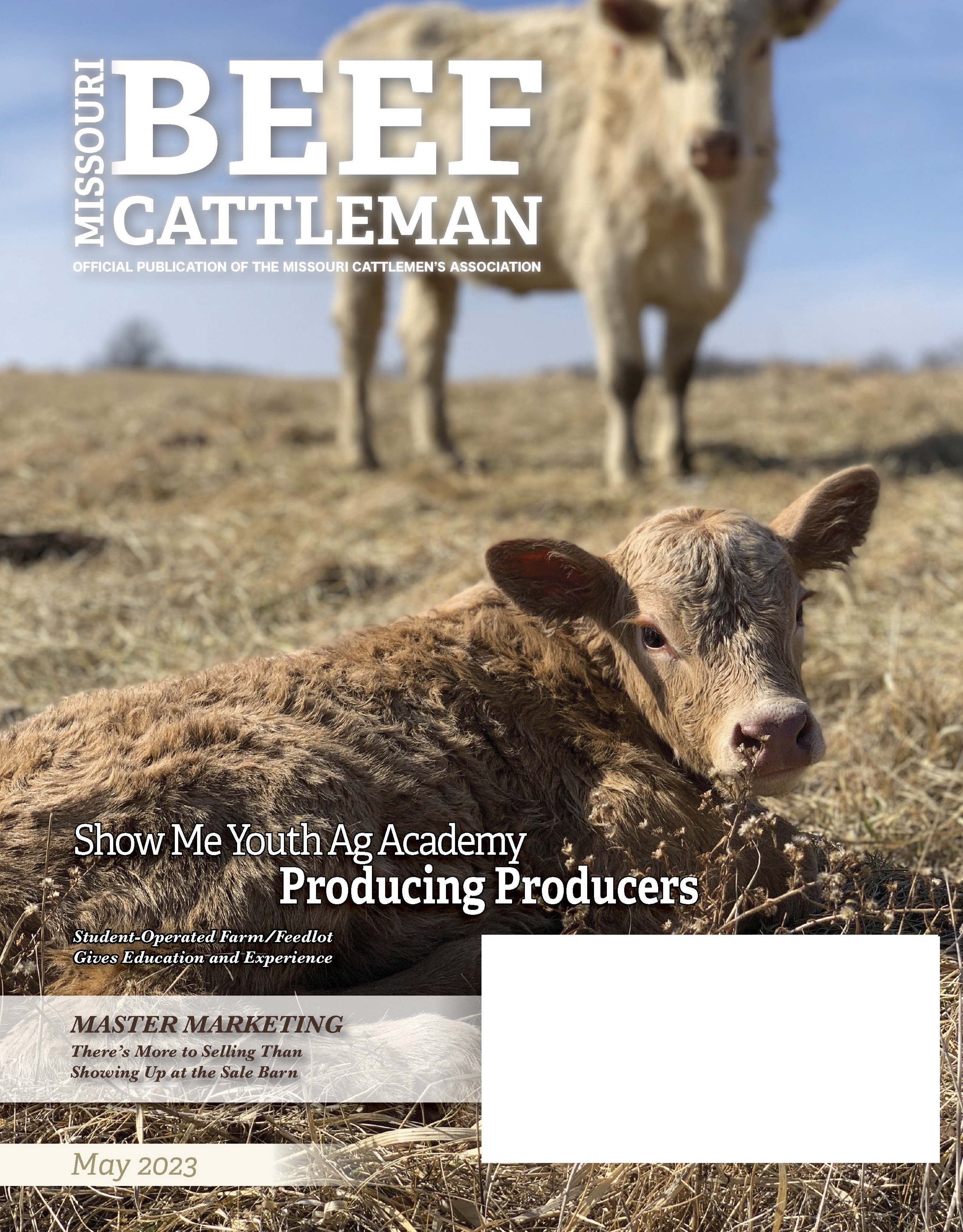 Missouri Beef Cattleman