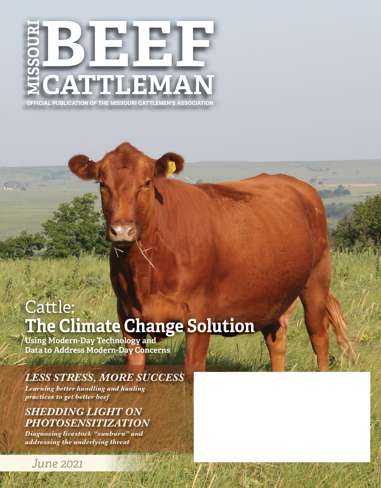 Missouri Beef Cattleman