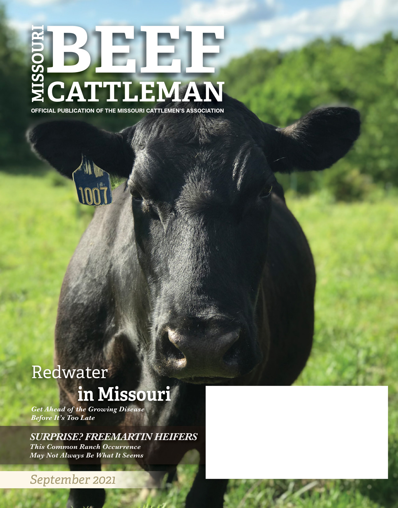 Missouri Beef Cattleman