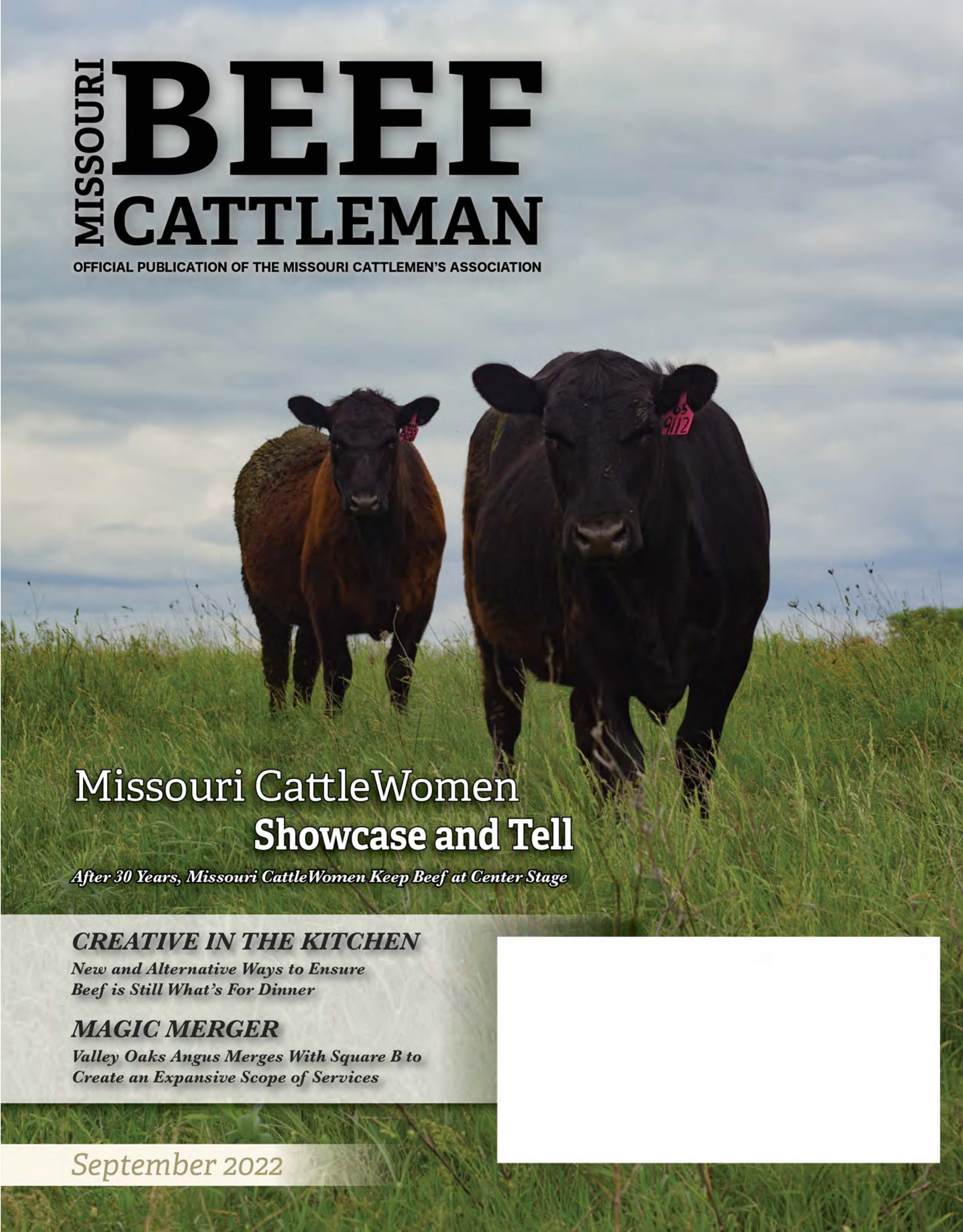 Missouri Beef Cattleman