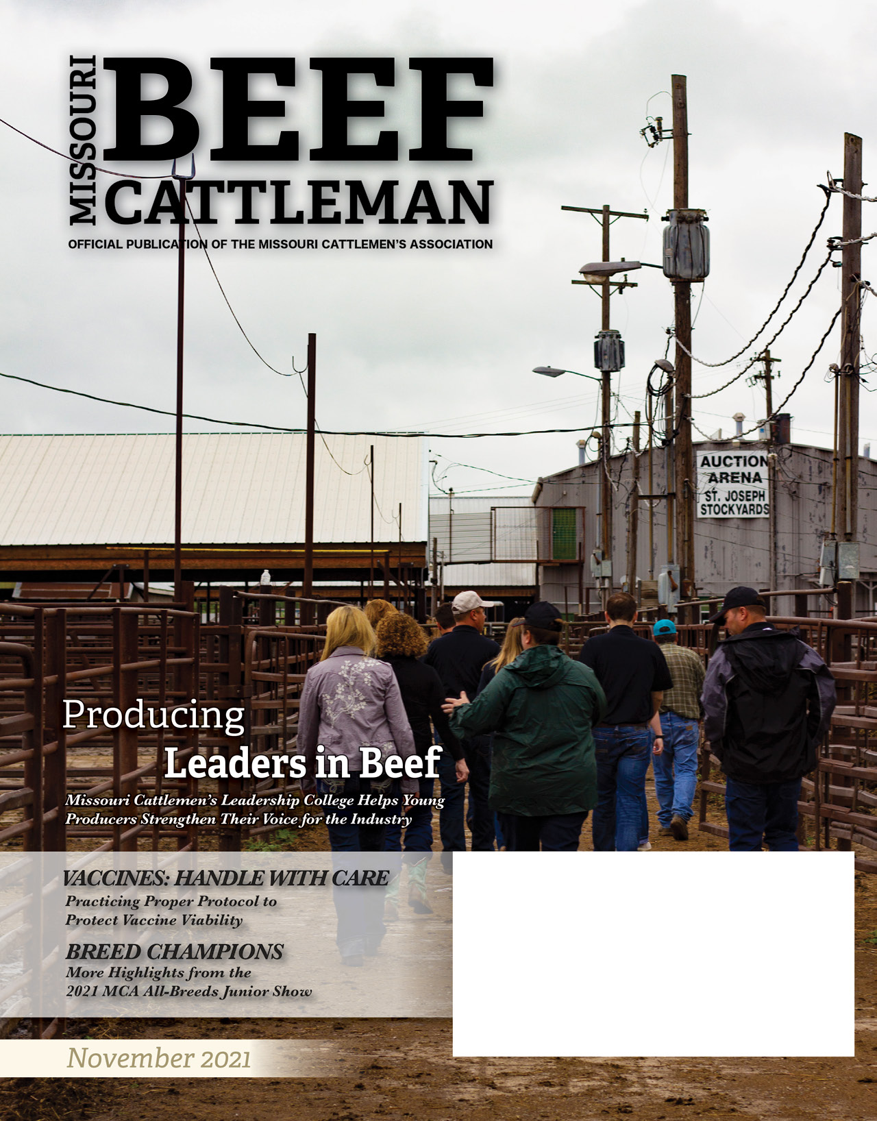 Missouri Beef Cattleman