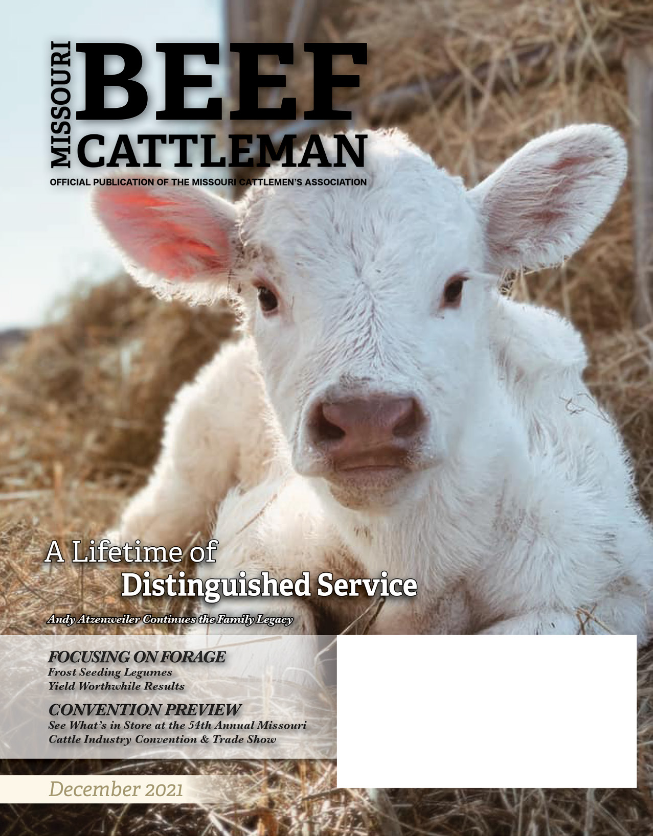 Missouri Beef Cattleman