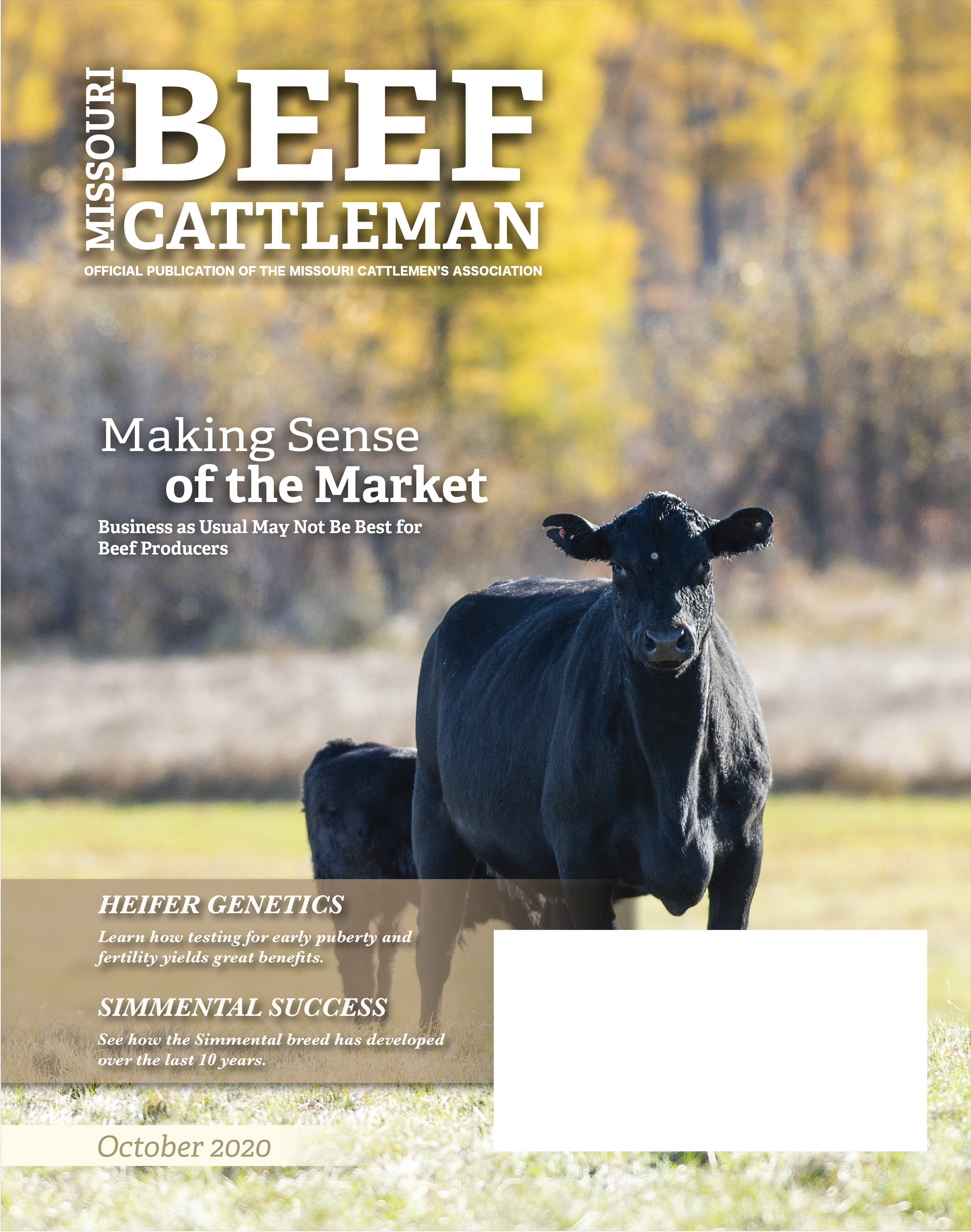 Missouri Beef Cattleman