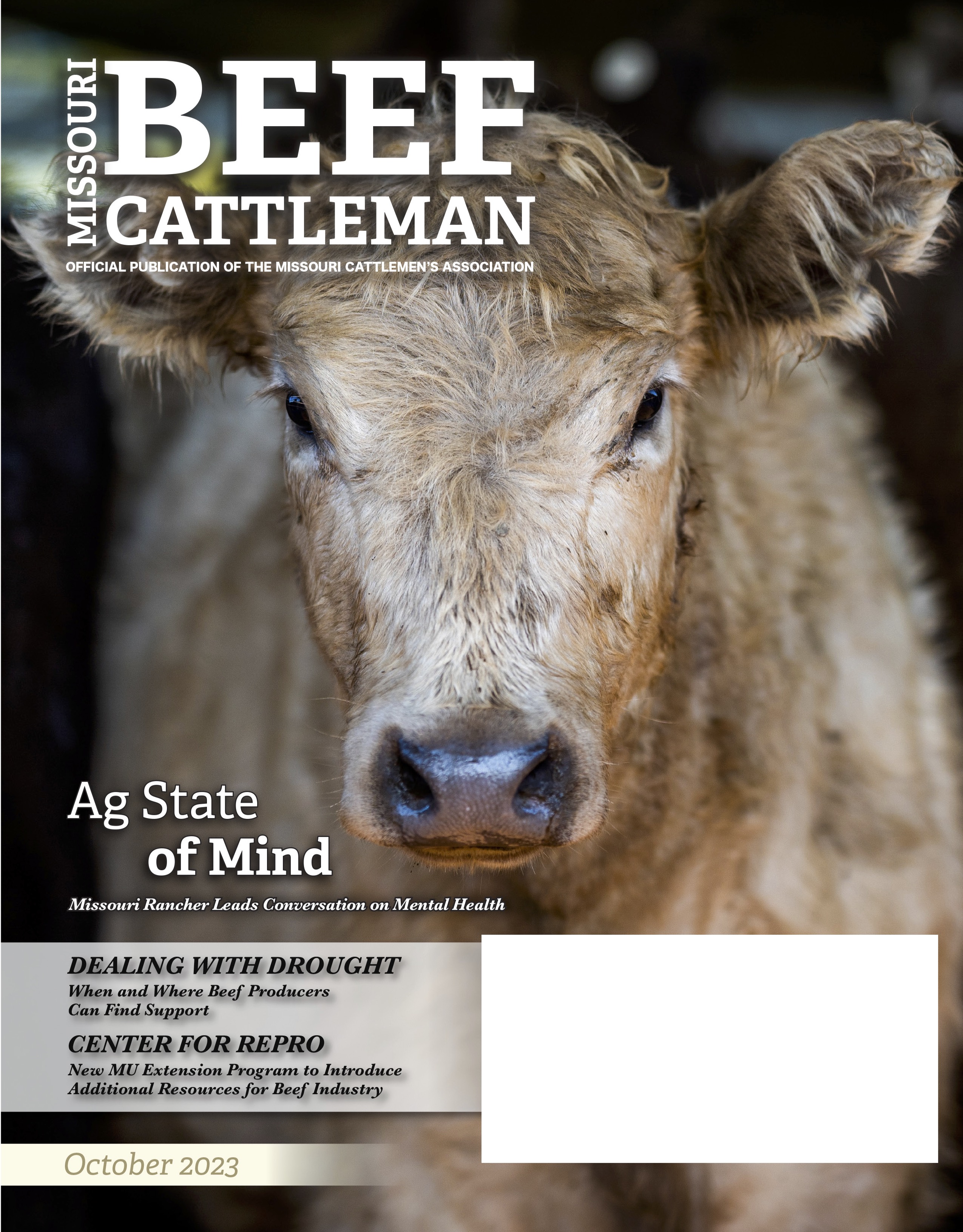 Missouri Beef Cattleman