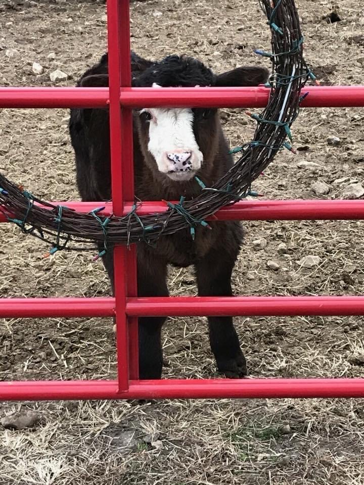 Region 5 Producer Direct