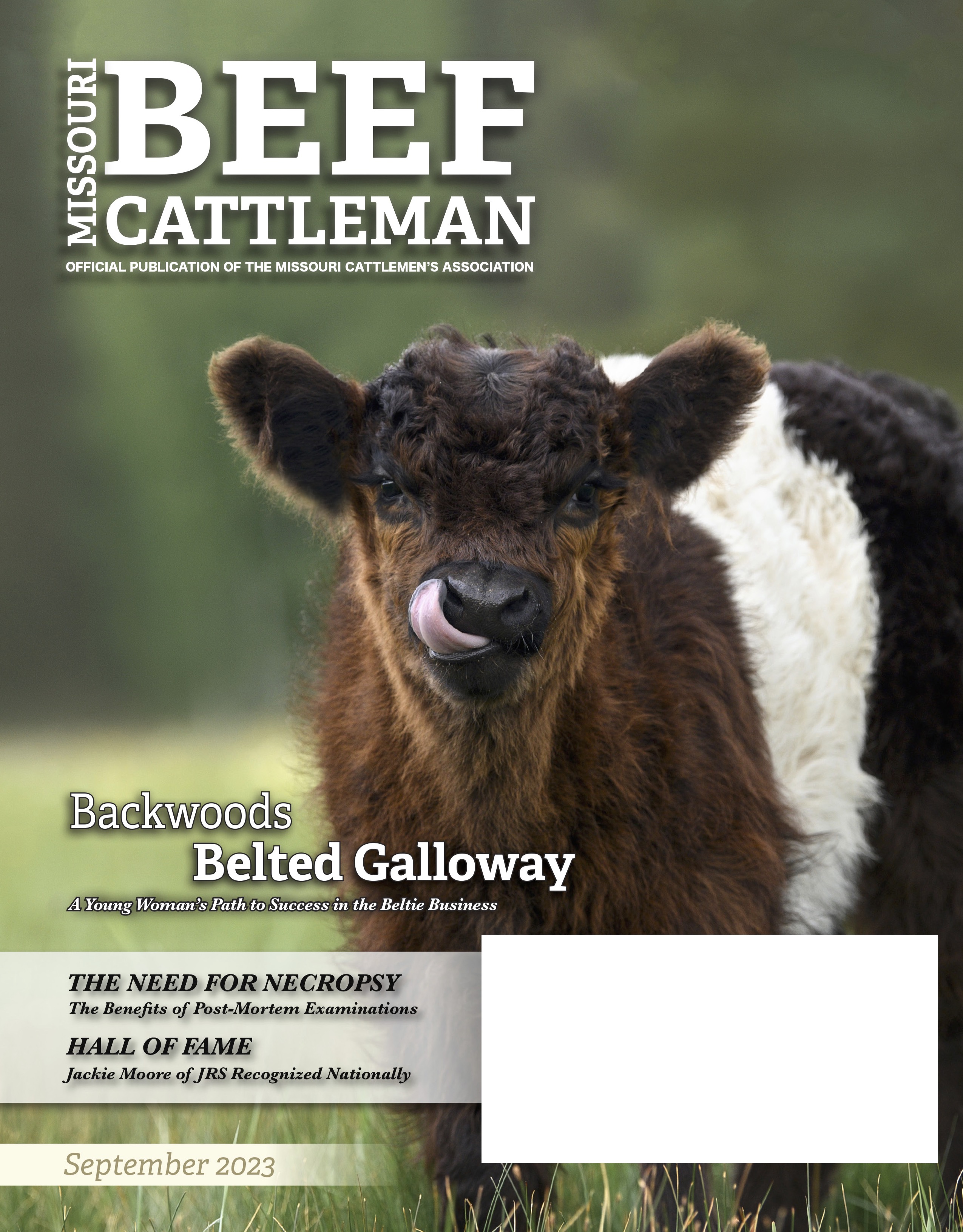 Missouri Beef Cattleman